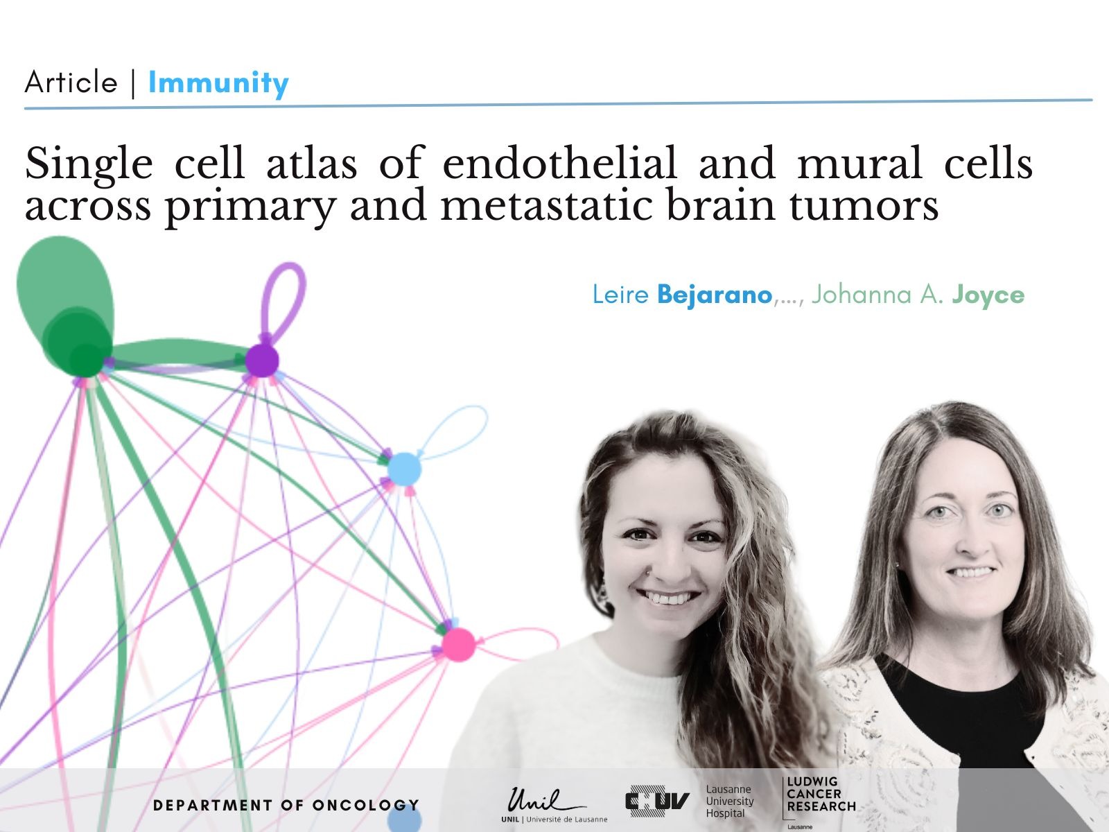 Mapping the tumor vasculature: a single-cell atlas of brain tumors