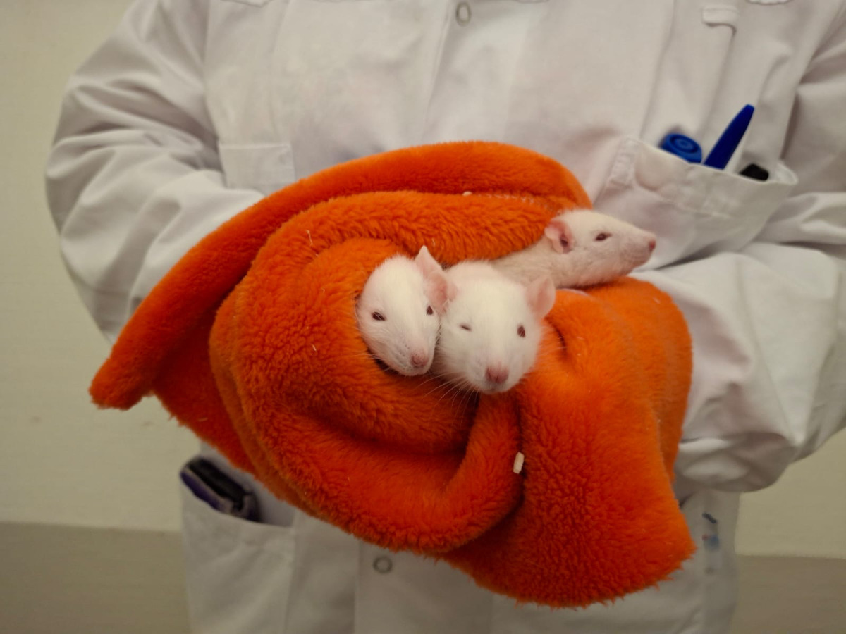 Moments that benefit both humans and animals