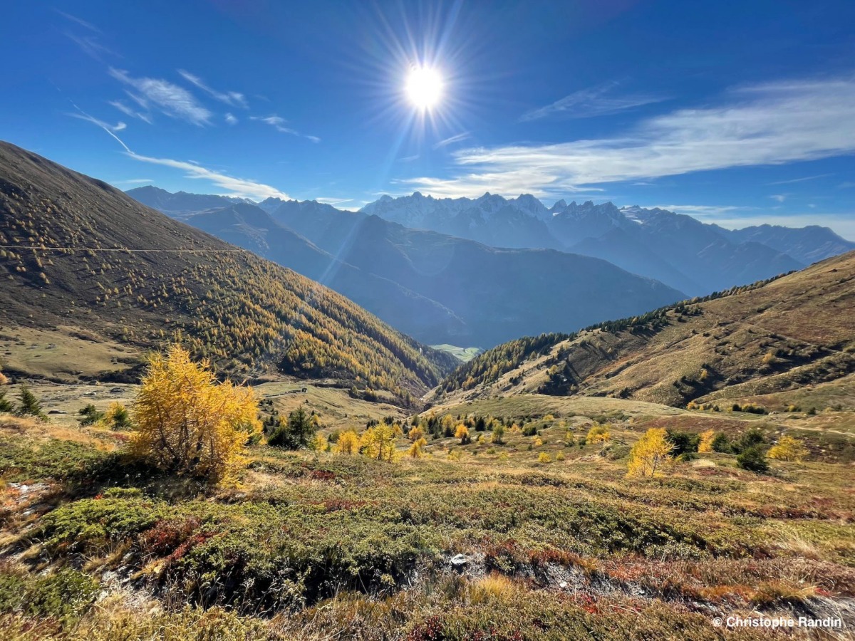 La montagne – Une végétation changeante